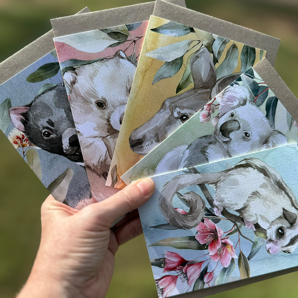 Australian Watercolour Wombat on Australian Flora greeting card ...