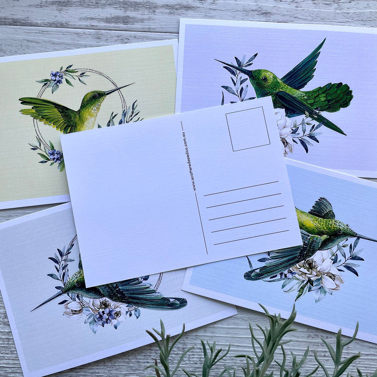 Postcards – Scattered Seed Co